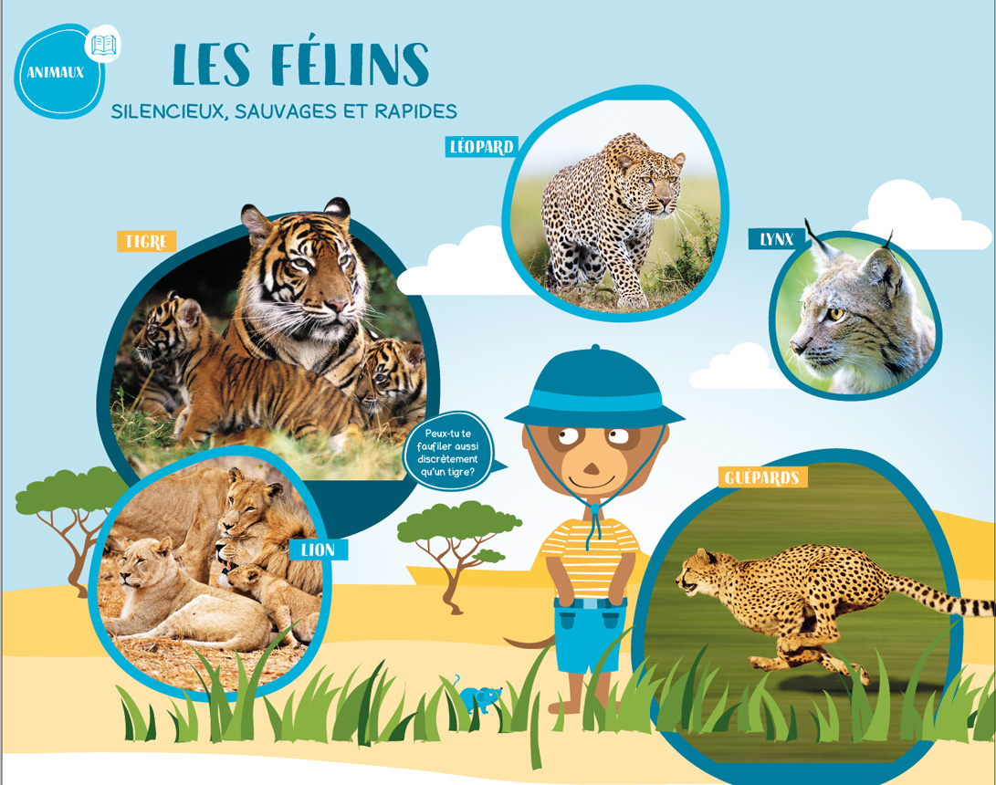 Les Félins, silencieux, sauvages et rapides - Family-FIPS